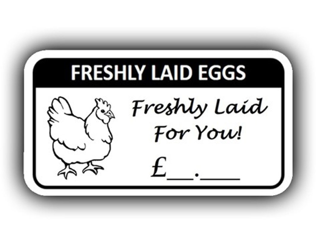 Freshly Laid Egg Box Stickers With Quantity and Price Freshly - Etsy