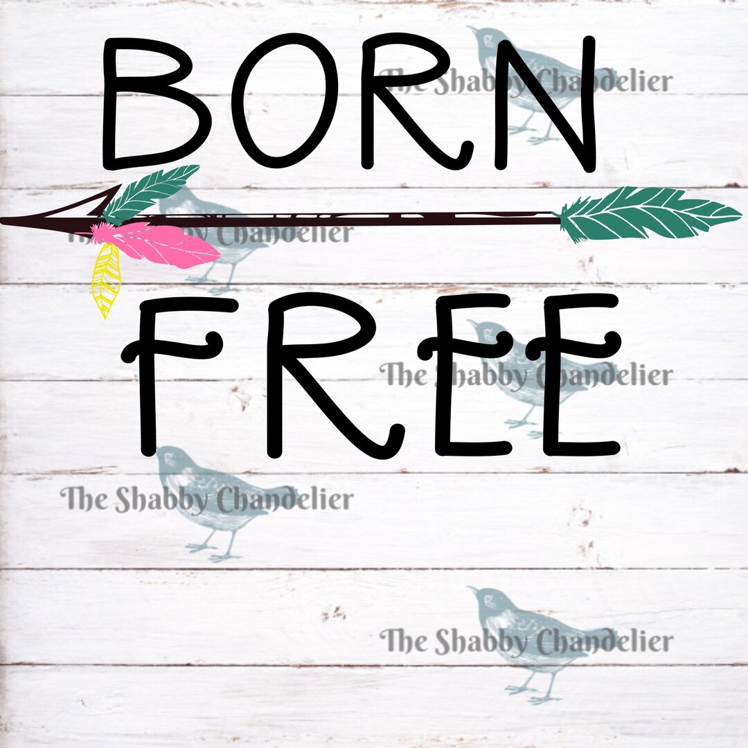 Born Free With Arrow and Feathers - Etsy