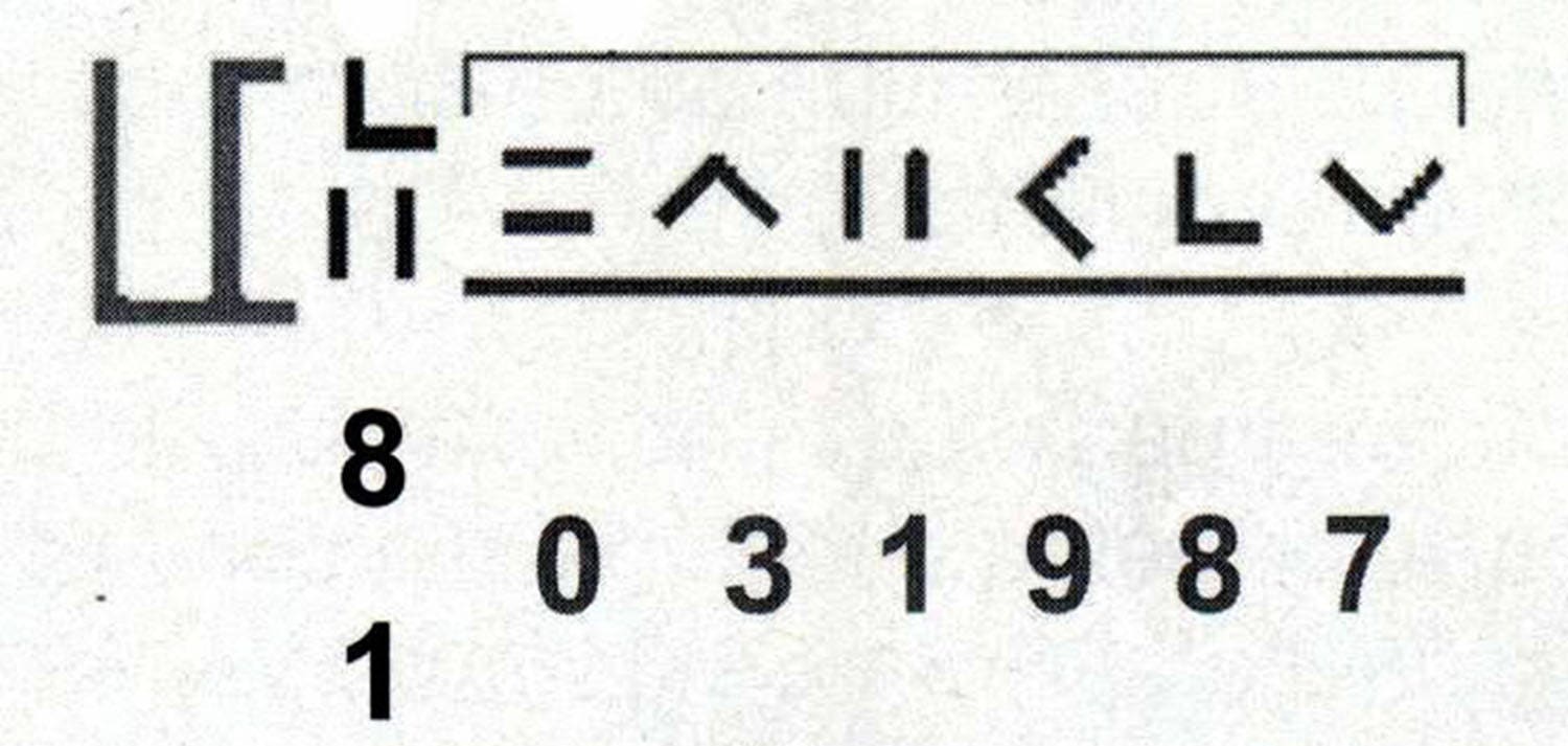 Mustang Brand and Name Pillow Mustang Freezemark Brand - Etsy