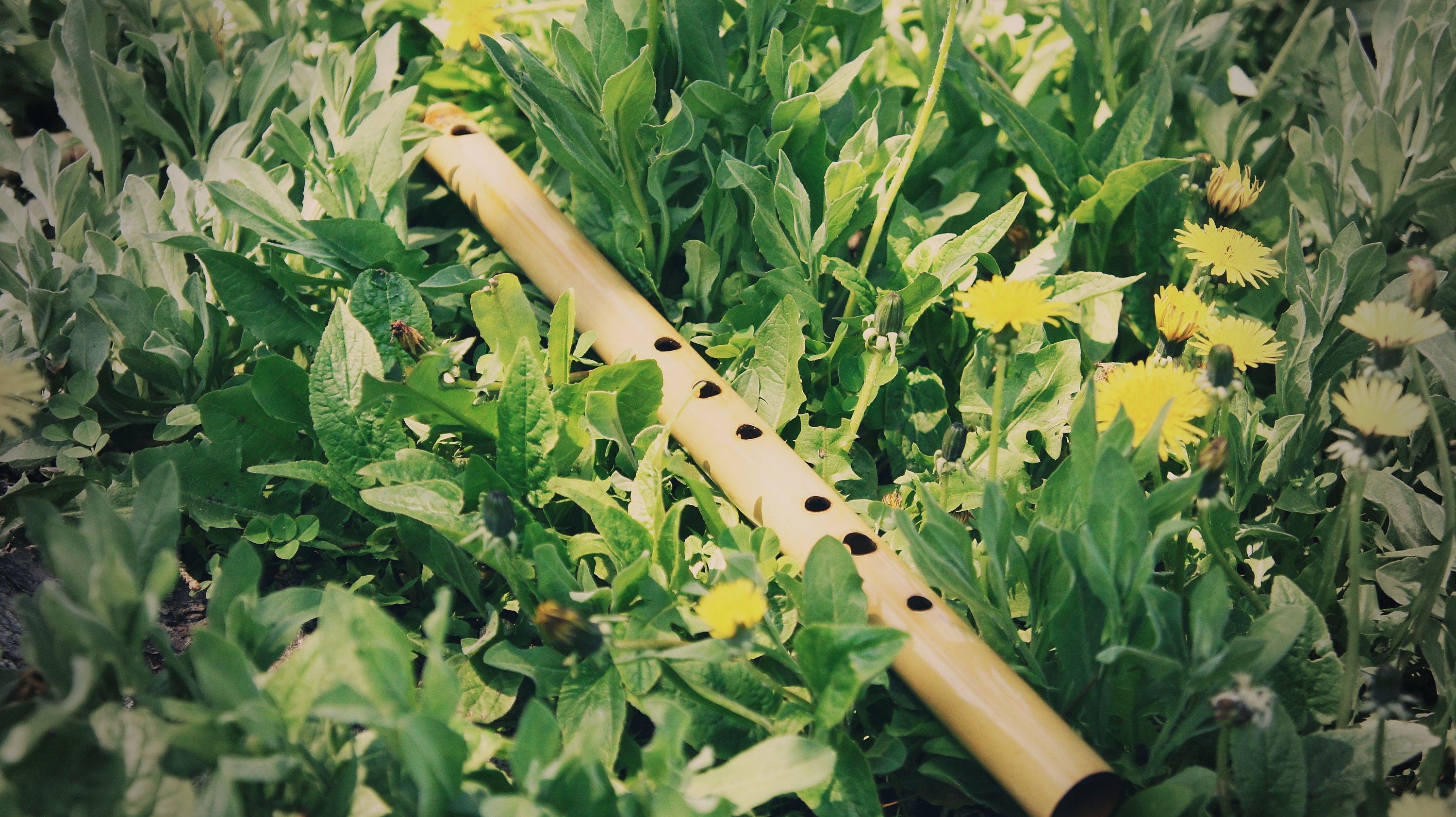 Bamboo Flute Key of G With 18kt Gold Leafing and Simulated Diamond ...