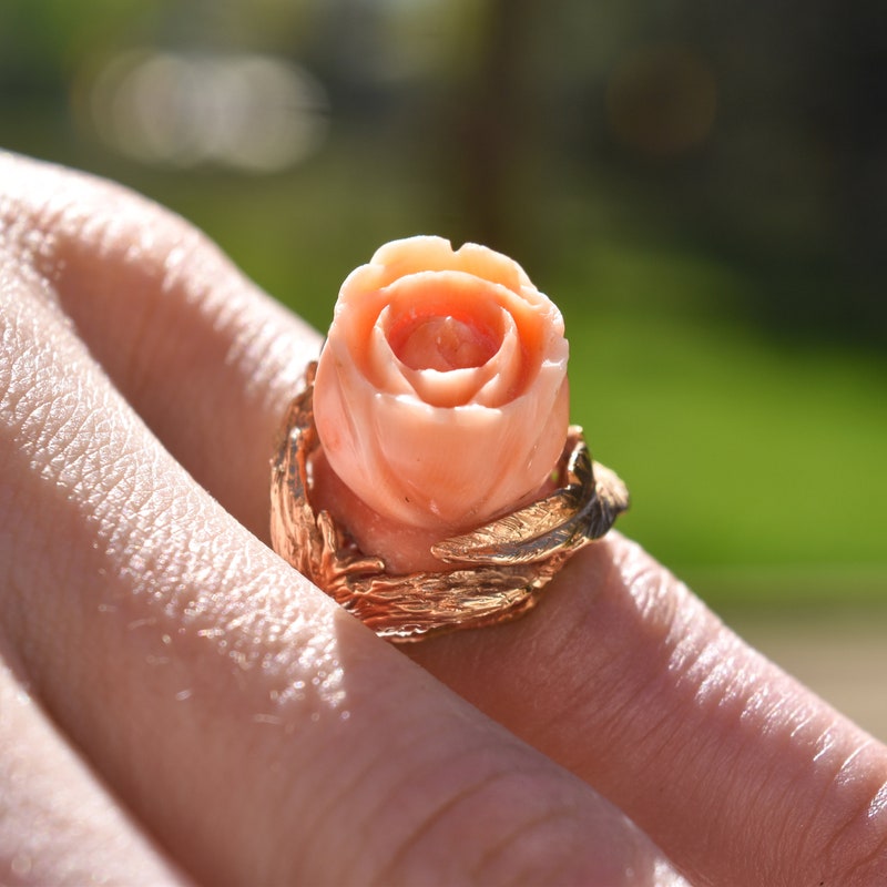 Coral Rose - Etsy
