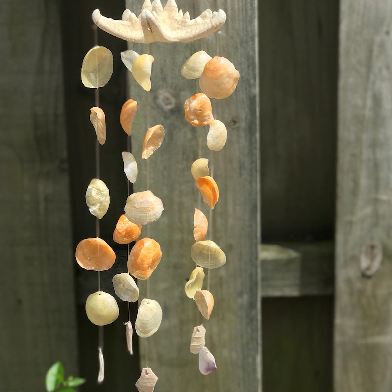 Sea Shell Wind Chime - Etsy