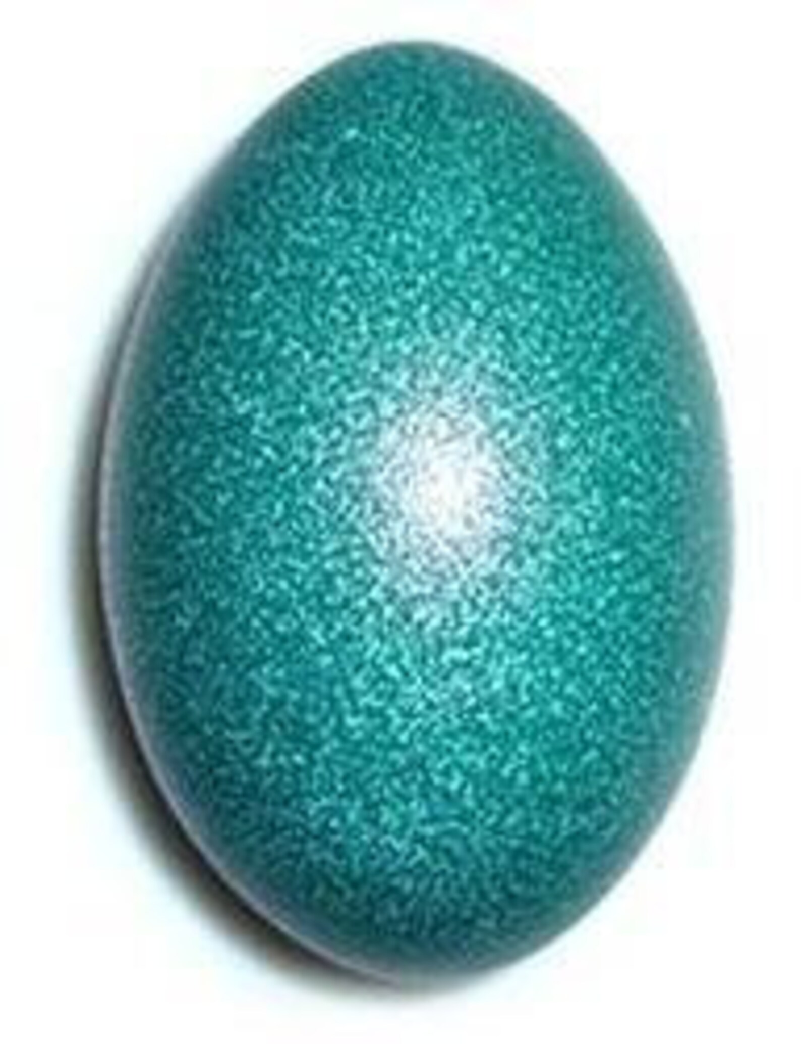 Beautiful Green Emu Eggs Blown Out and Cleaned - Etsy