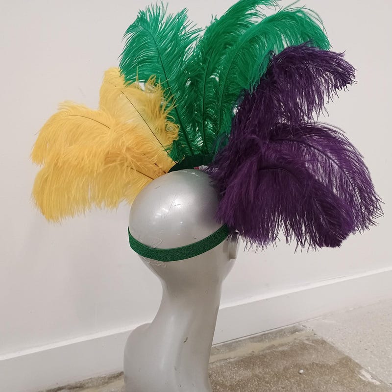 Ostrich Original Feathers - Etsy