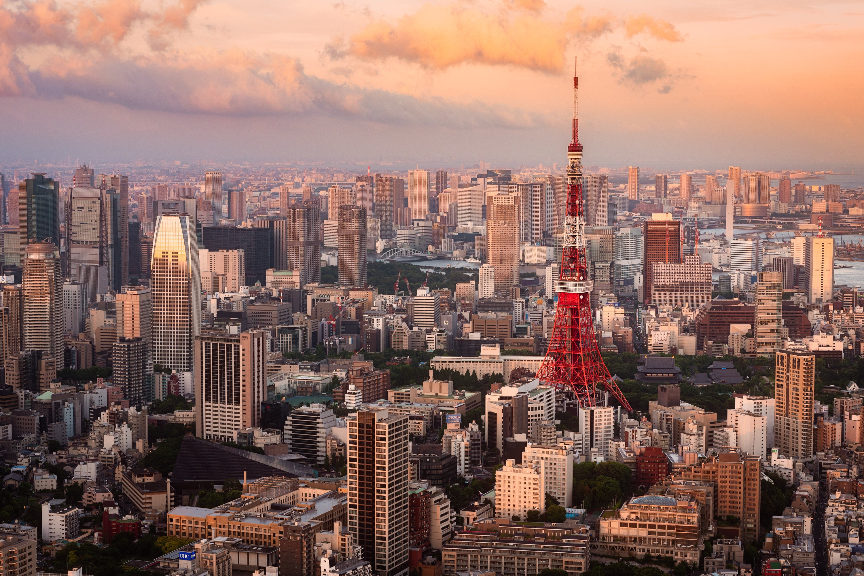 Limited Edition "tokyo Tower" Cityscape Photography - Fuji Crystal ...