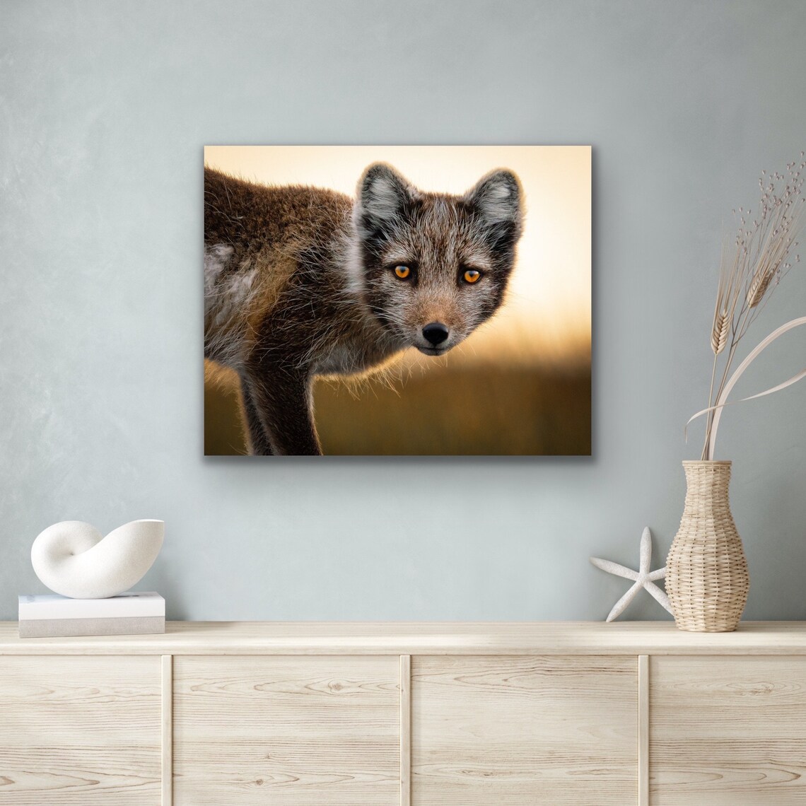 Arctic Fox Print / Arctic Fox Photo / Arctic Fox Picture / Iceland ...