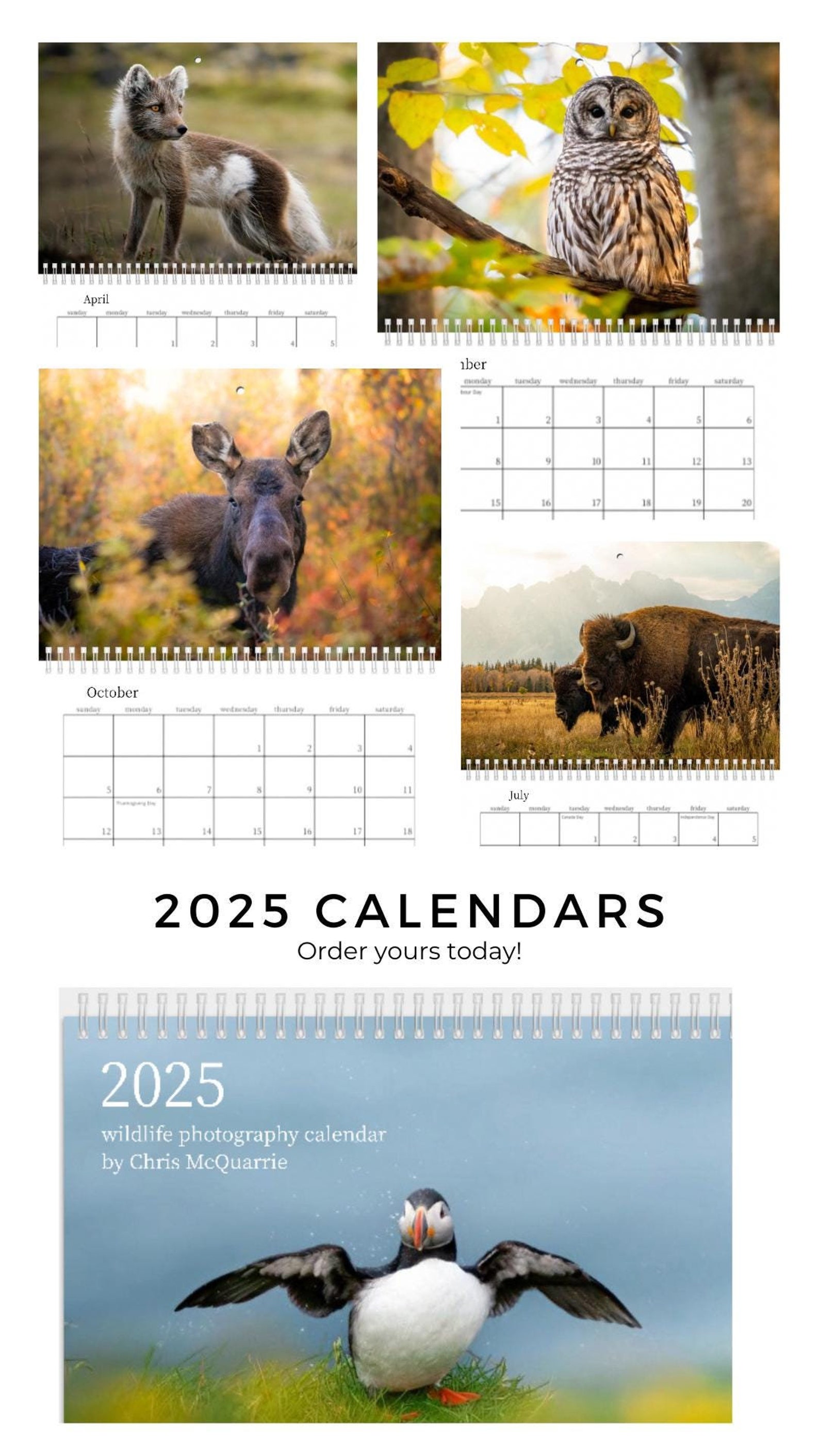 2025 Wildlife Calendar - Etsy