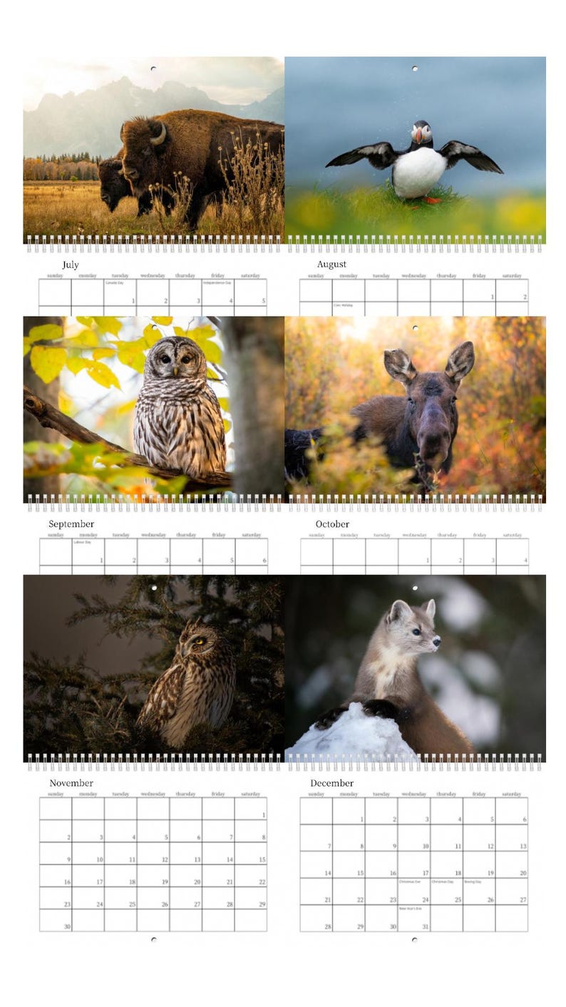2025 Wildlife Calendar - Etsy