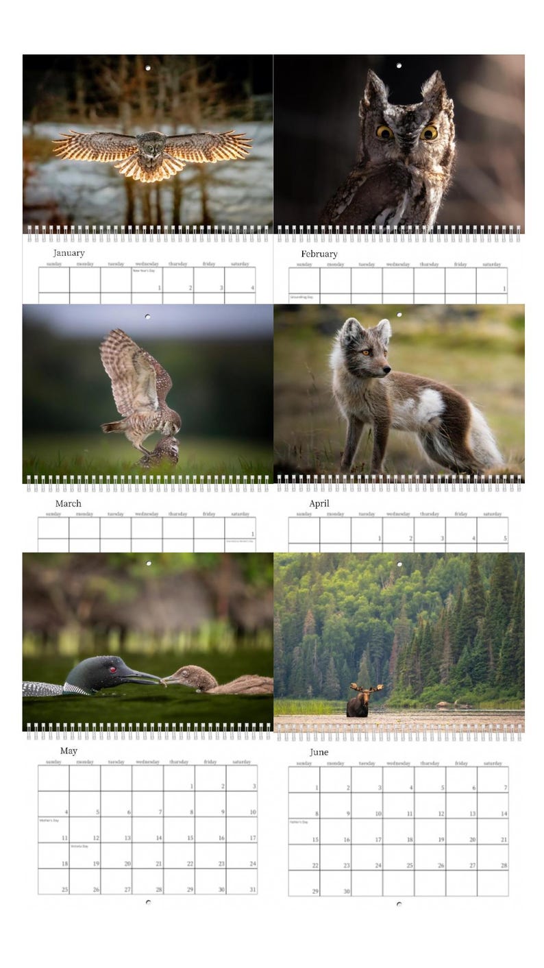 2025 Wildlife Calendar - Etsy
