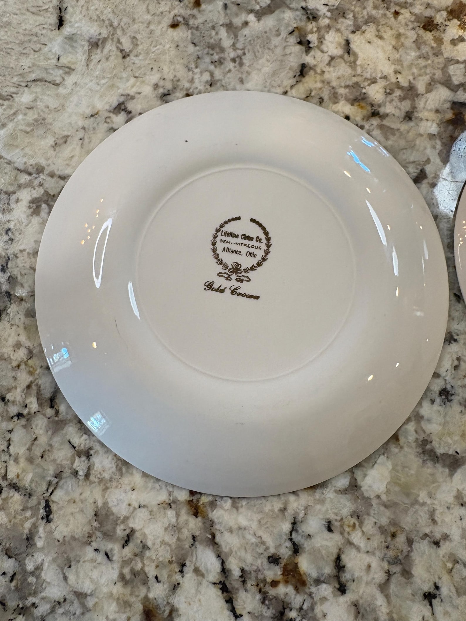 Cheeky China Snarky Plate “ There’s Probably Dog Hair in the Food ...