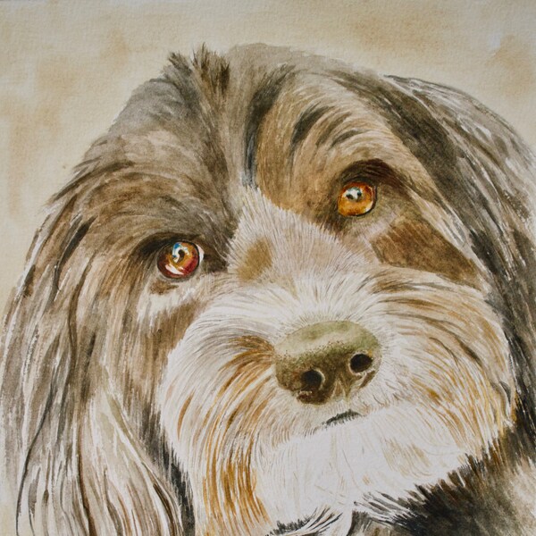 Schnoodle - Etsy