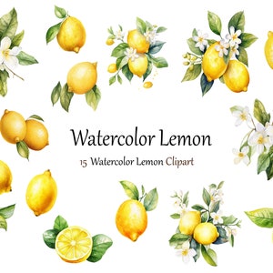 Watercolor Lemons Clipart, Fresh Summer Clipart, Lemon Flower Clipart ...