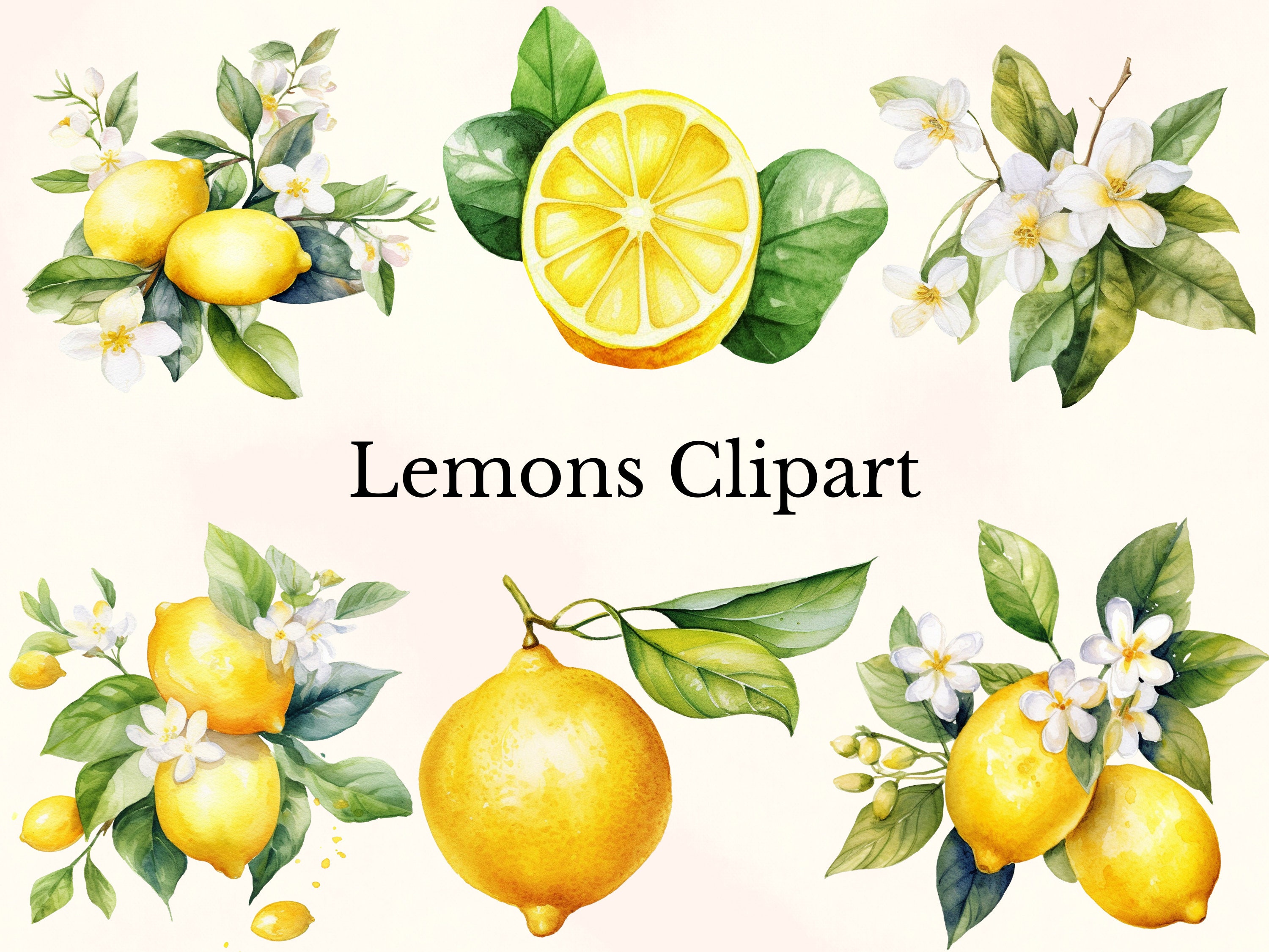 Watercolor Lemons Clipart, Fresh Summer Clipart, Lemon Flower Clipart ...