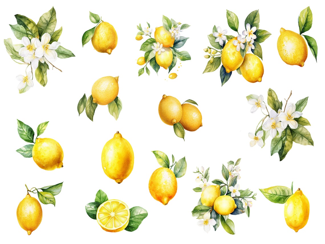 Watercolor Lemons Clipart Fresh Summer Clipart Lemon Flower - Etsy