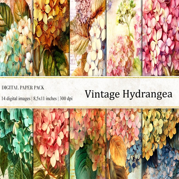 Hydrangea Postcard - Etsy