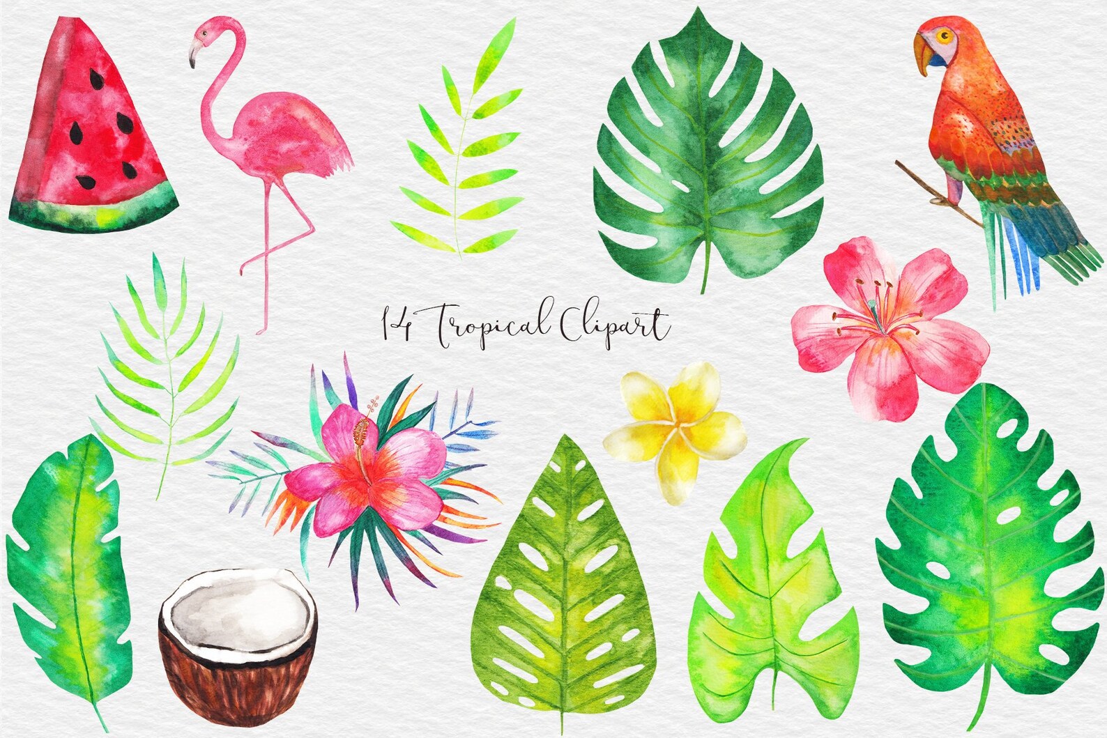 Watercolor Tropical Clipart, Tropical Seamless Patterns, Watercolor ...