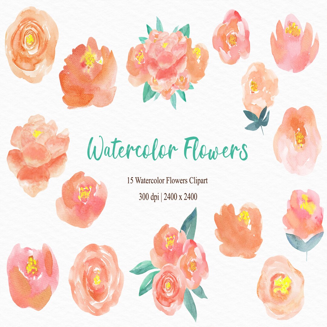 Watercolor Flower Peonies Clipart, Watercolor Roses, Watercolor ...