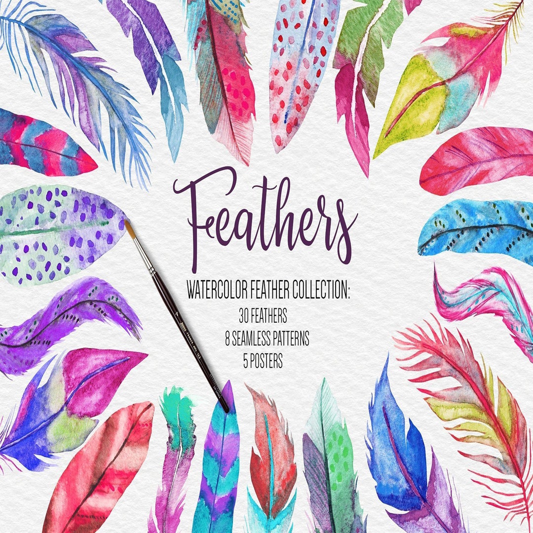 Watercolor Feathers Clipart, Watercolor Feather Illustration ...