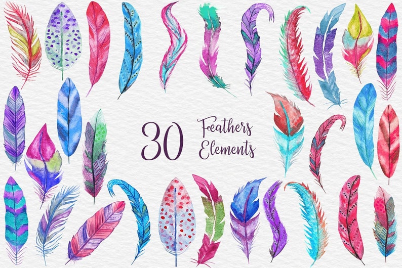 Watercolor Feathers Clipart Watercolor Feather Illustration - Etsy