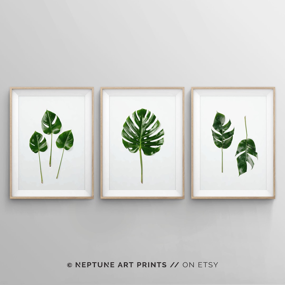 Monstera Leaves Print Set, Set of 3 Piece Tropical Palm Leaf Wall Art ...