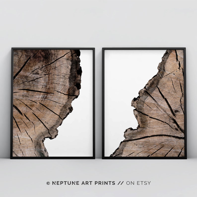 Large Tree Rings Print Set of 2 Prints Brown Coloured Tree - Etsy