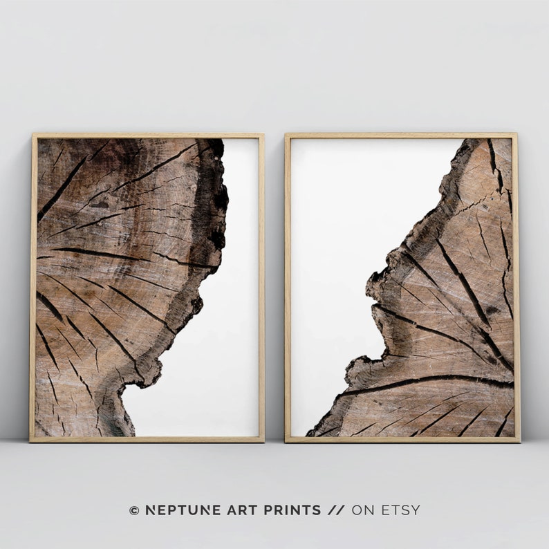 Large Tree Rings Print, Set of 2 Prints, Brown Coloured Tree Print ...