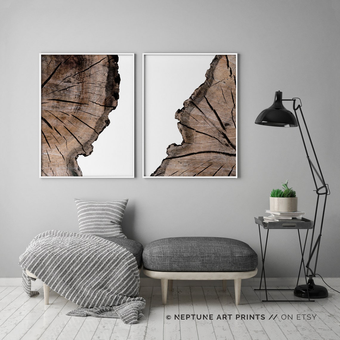 Large Tree Rings Print Set of 2 Prints Brown Coloured Tree - Etsy