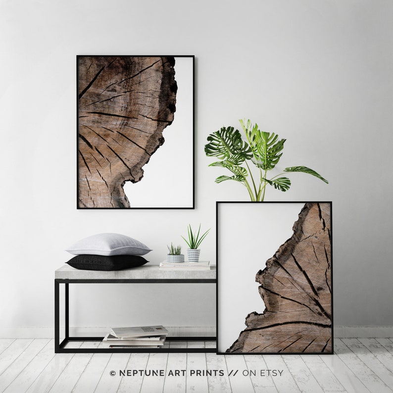 Large Tree Rings Print Set of 2 Prints Brown Coloured Tree - Etsy