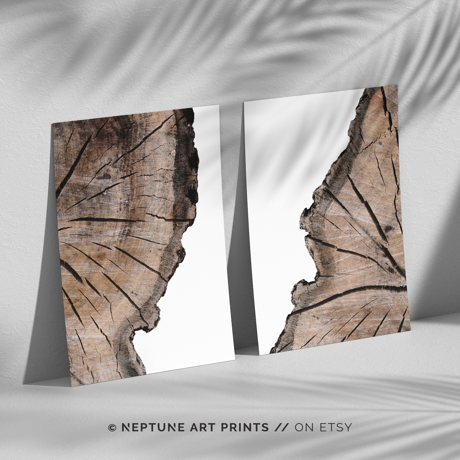 Large Tree Rings Print Set of 2 Prints Brown Coloured Tree - Etsy