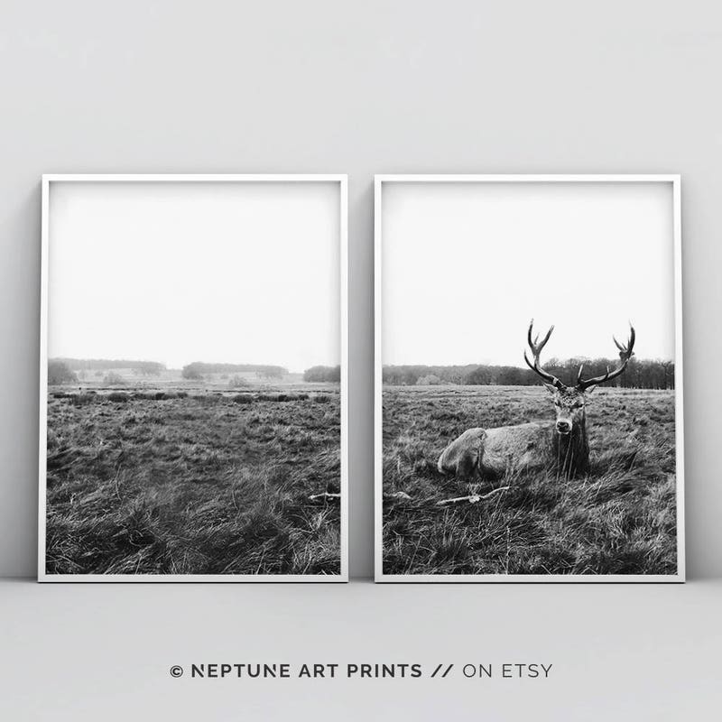 Deer Print - Etsy