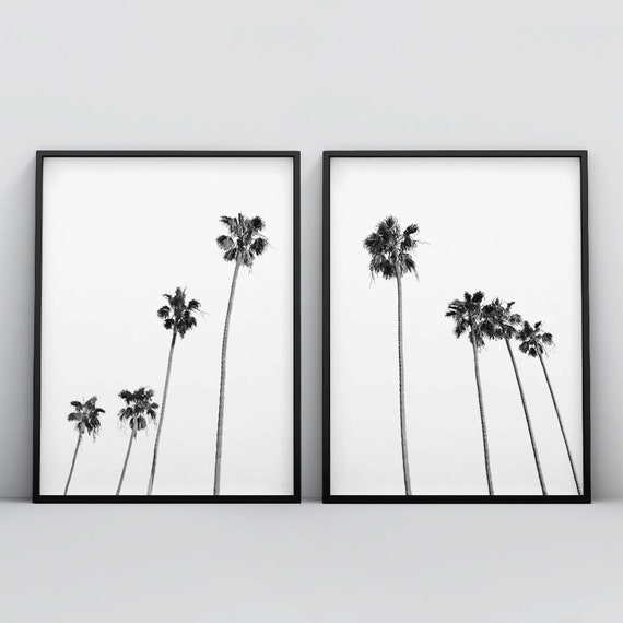 Palm Tree Wall Stencils