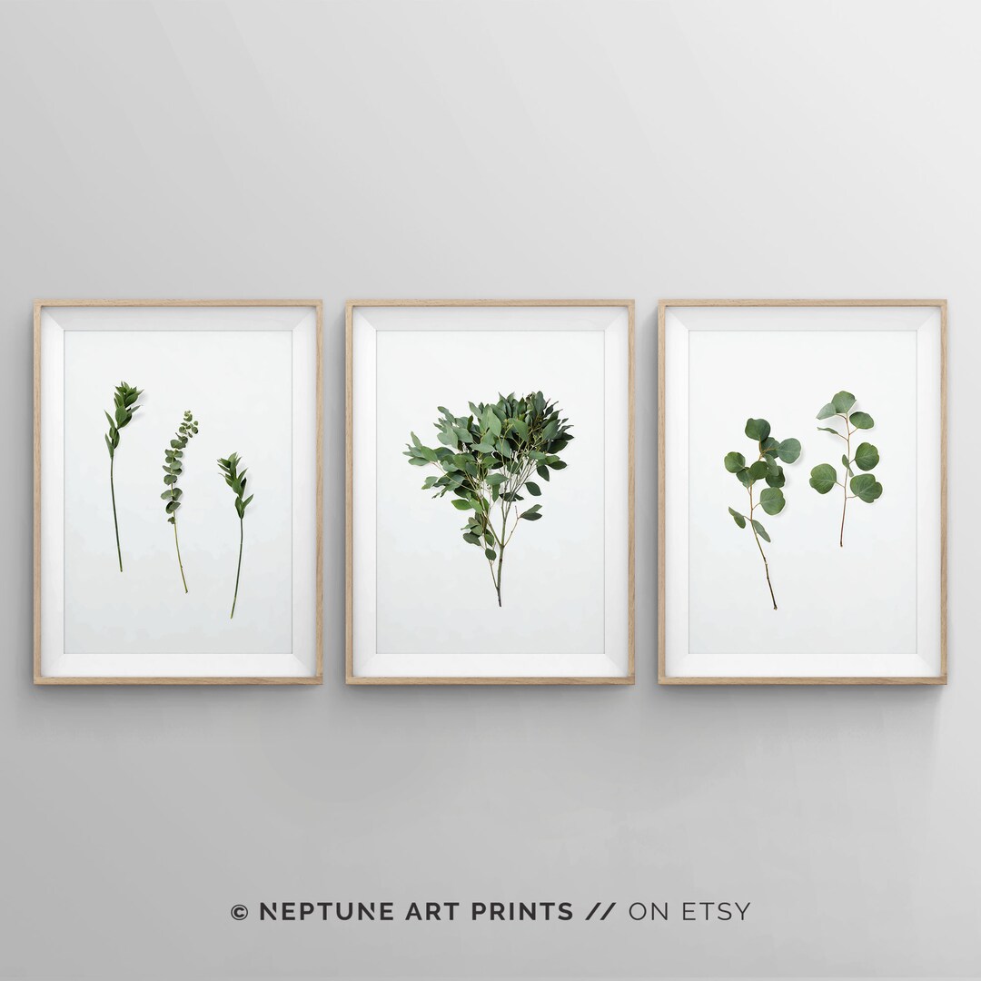 Greenery Leaves Print Set, Set of 3 Piece Dried Flowers Eucalyptus Wall ...