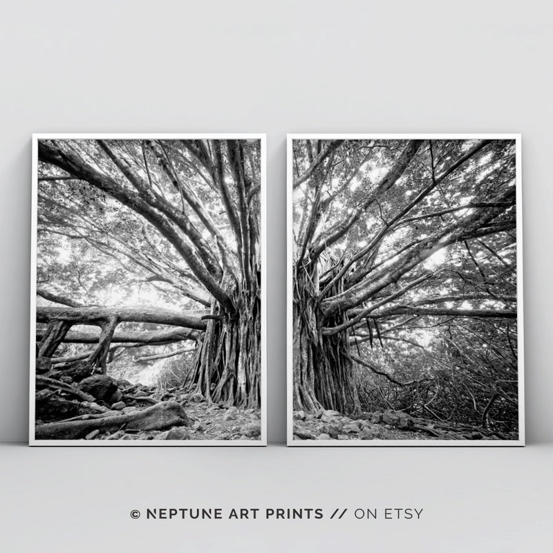 Black and White Poster - Etsy