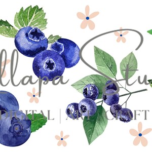 Boho Blueberry Art | 16 Oz Libbey Glass Can Tumbler Sublimation Design ...
