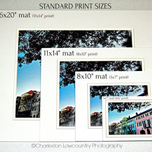 Seeing Triple (piazza Palace) - Charleston, South Carolina PRINT ...
