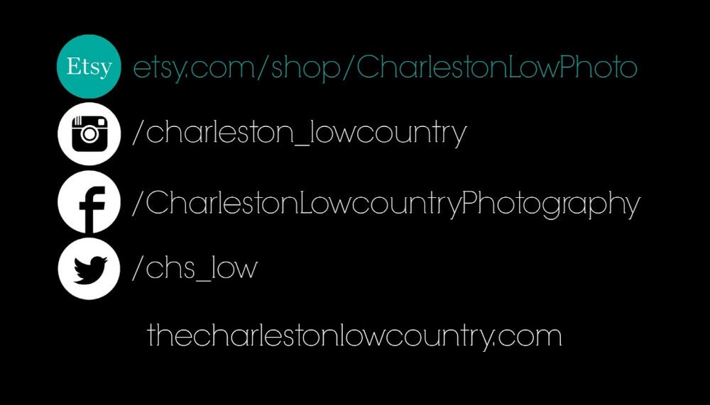 Ruby Gateway to Charleston Charleston South Carolina PRINT - Etsy