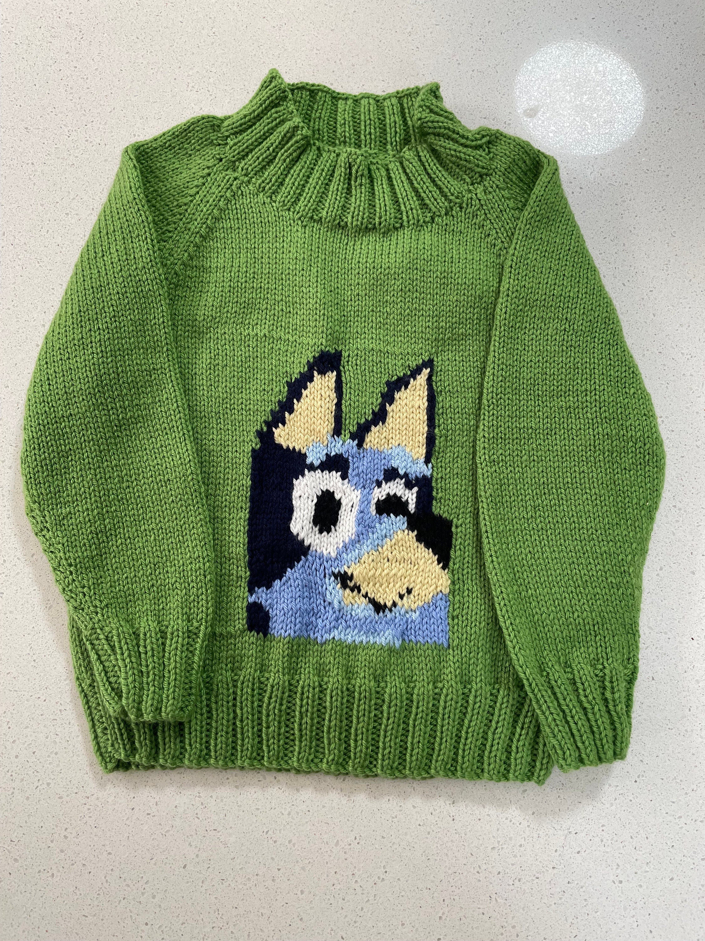 Unisex Kid's Bluey Jumper / Sweater With Crew or Ribbed/rolled Neck ...