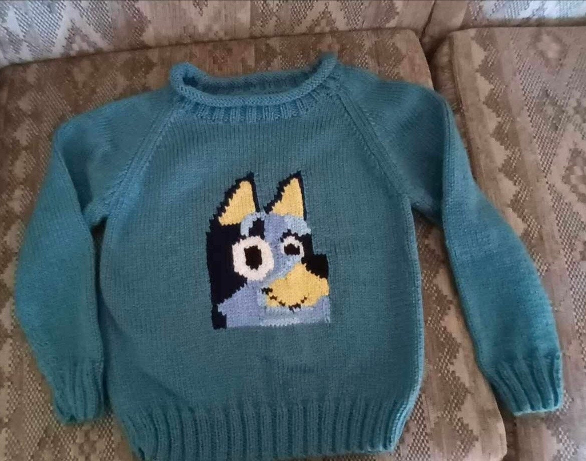 Unisex Kid's Bluey Jumper / Sweater With Crew or Ribbed/rolled Neck ...