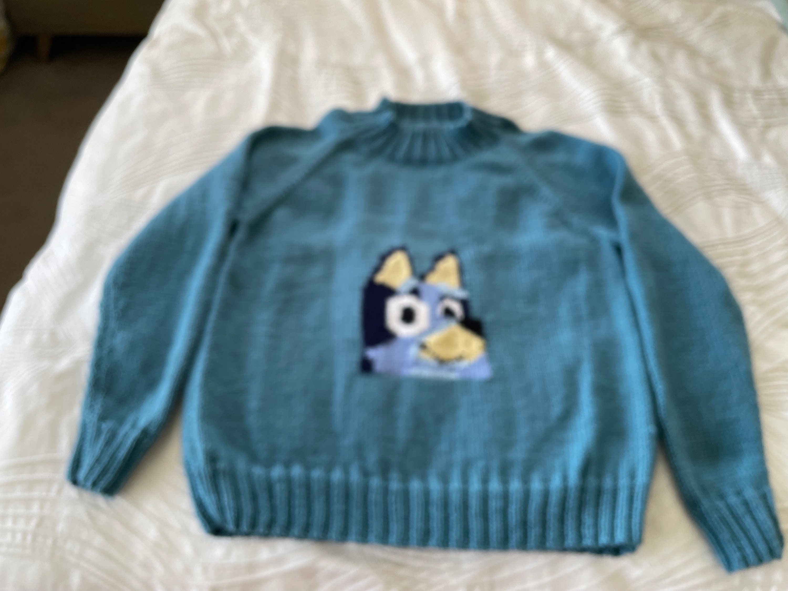 Unisex Kid's Bluey Jumper / Sweater With Round Neck. Various Colours ...