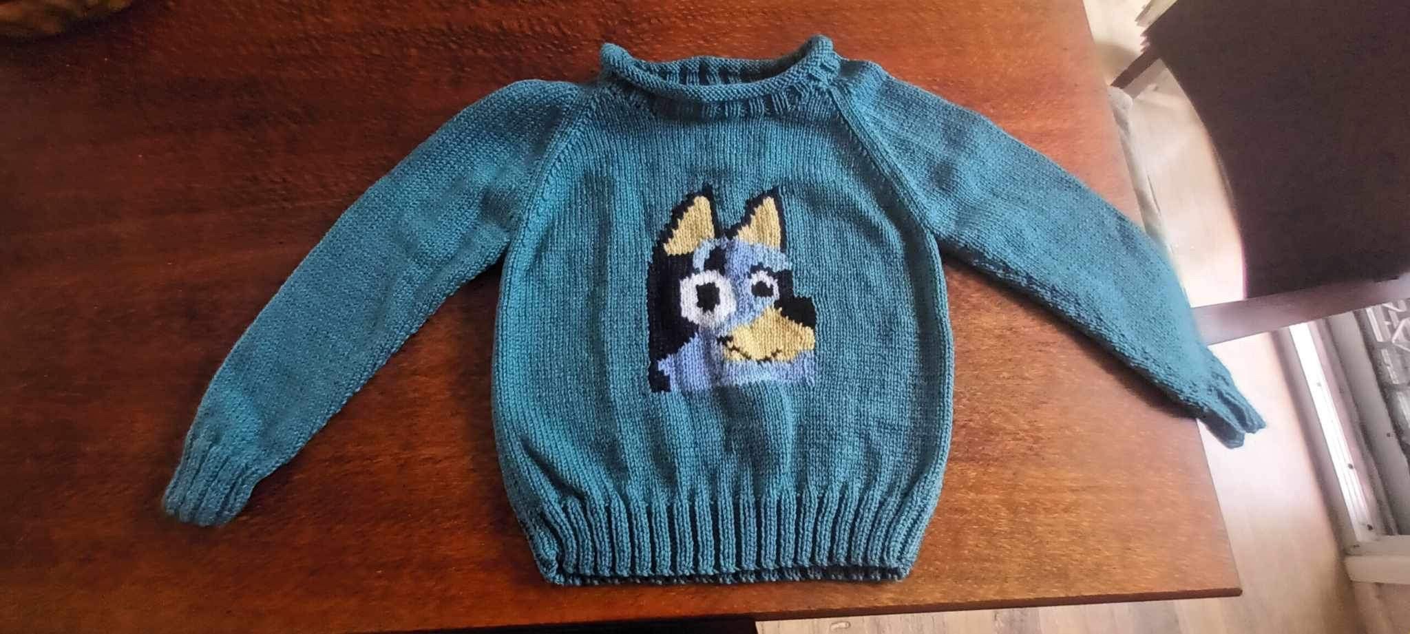 Unisex Kid's Bluey Jumper / Sweater With Round Neck. Various Colours ...