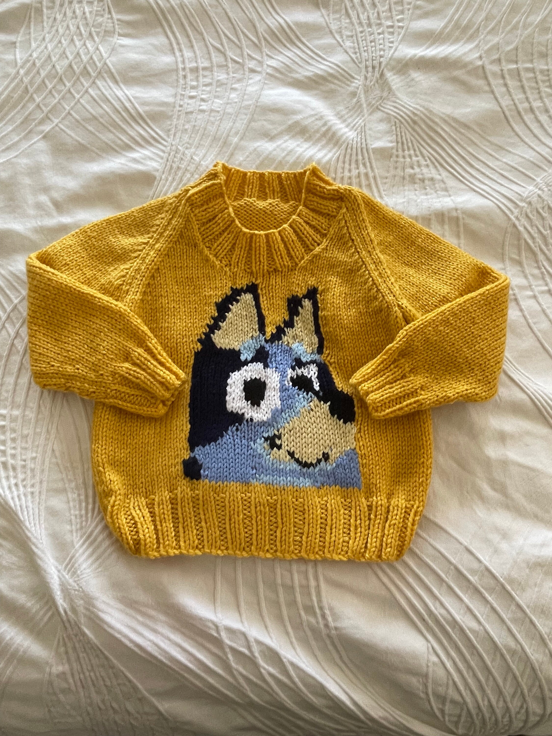 Unisex Kid's Bluey Jumper / Sweater With Crew or Ribbed/rolled Neck ...