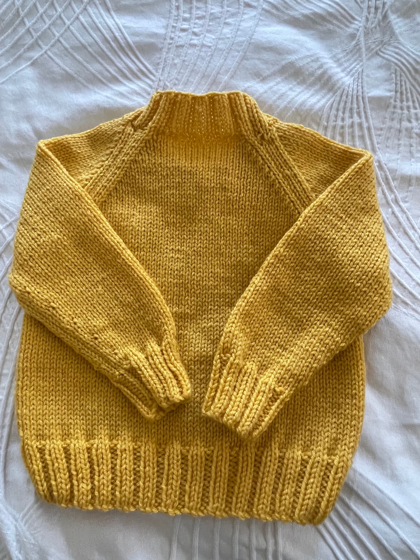 Unisex Kid's Bluey Jumper / Sweater With Crew or Ribbed/rolled Neck ...