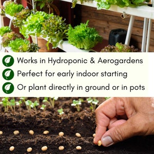 Picklers, Canners & Salsa Grow Kit | 500 Seeds, 20 Varieties + 60 ...