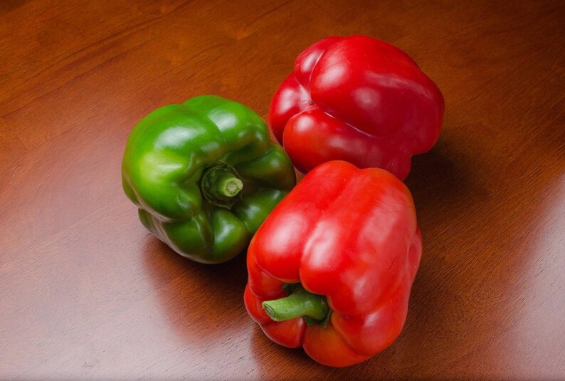 Two Live Plants King Arthur Bell Pepper Plants 4 to 7 Inches - Etsy