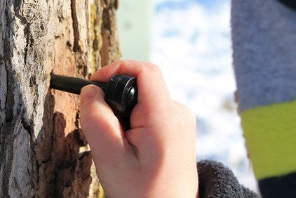 Kids Maple Tree Tapping Kit Taps & Tubes Method Fun and - Etsy