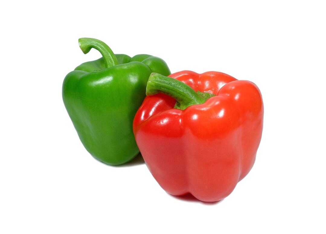 Two Live Plants Better Bell Pepper 4 to 7 Inches Tall in 3.5 Inch Pots ...