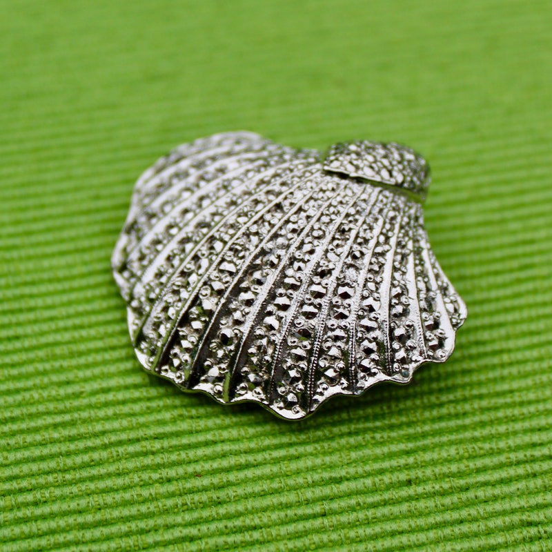 Seashell Brooch - Etsy