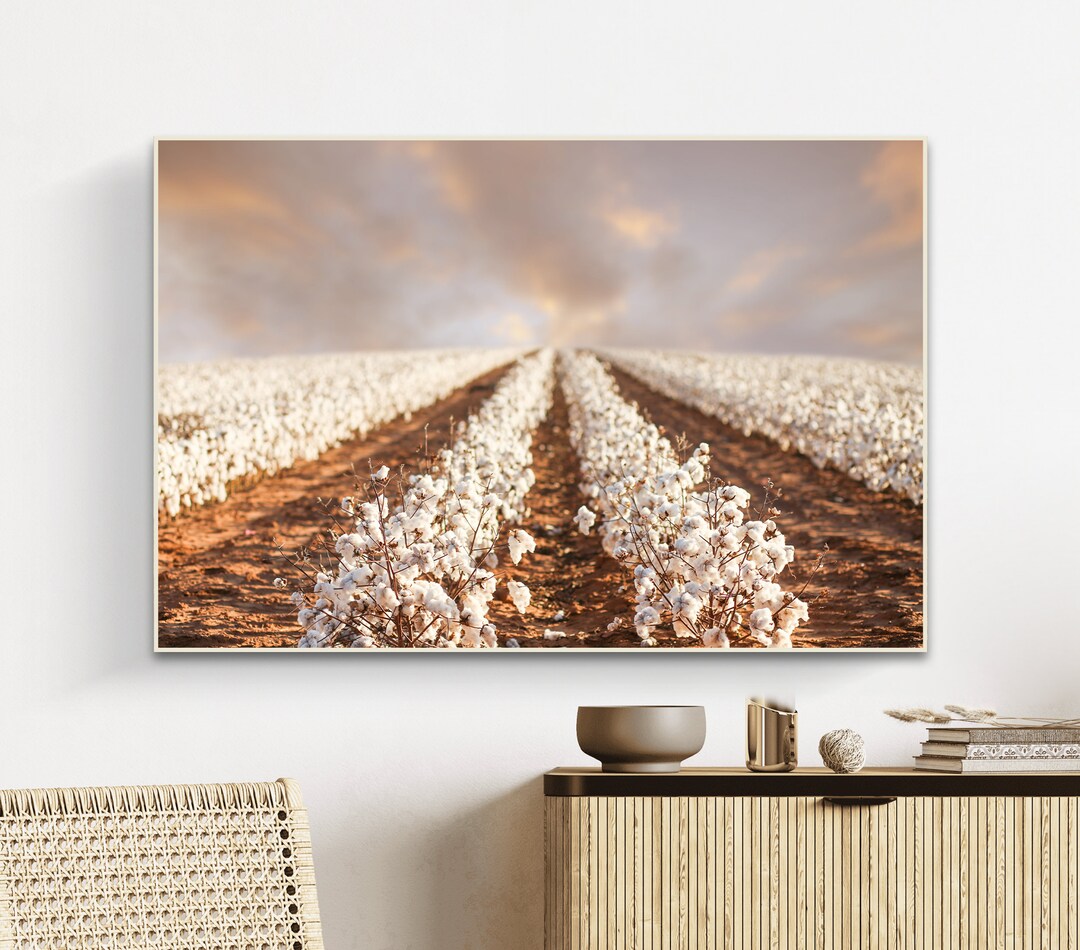 Cotton Field Canvas Print, Landscape Print Countryside Art Nature Decor ...