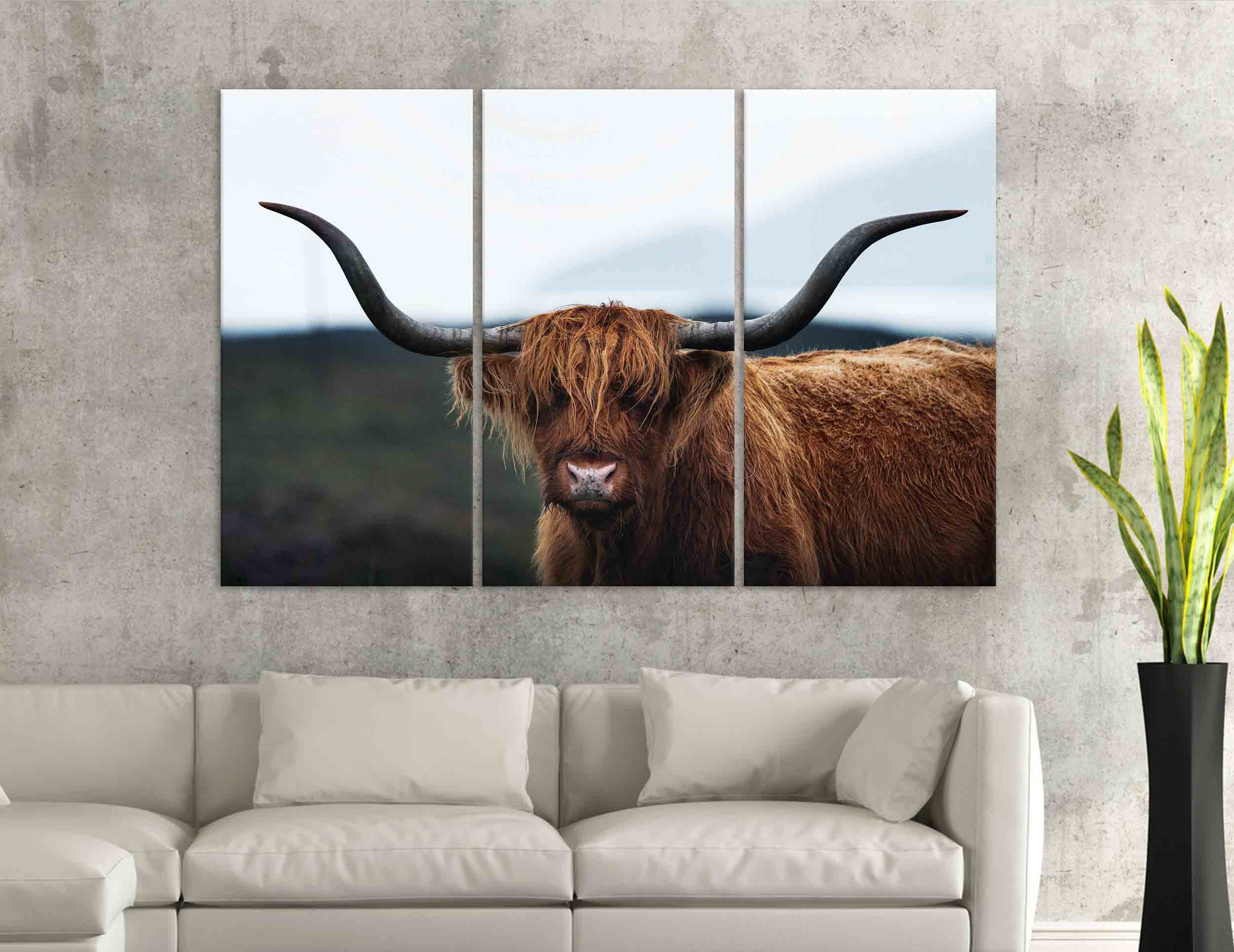 Cow Canvas Cow Print Scottish Highland Cattle Farm Animal - Etsy