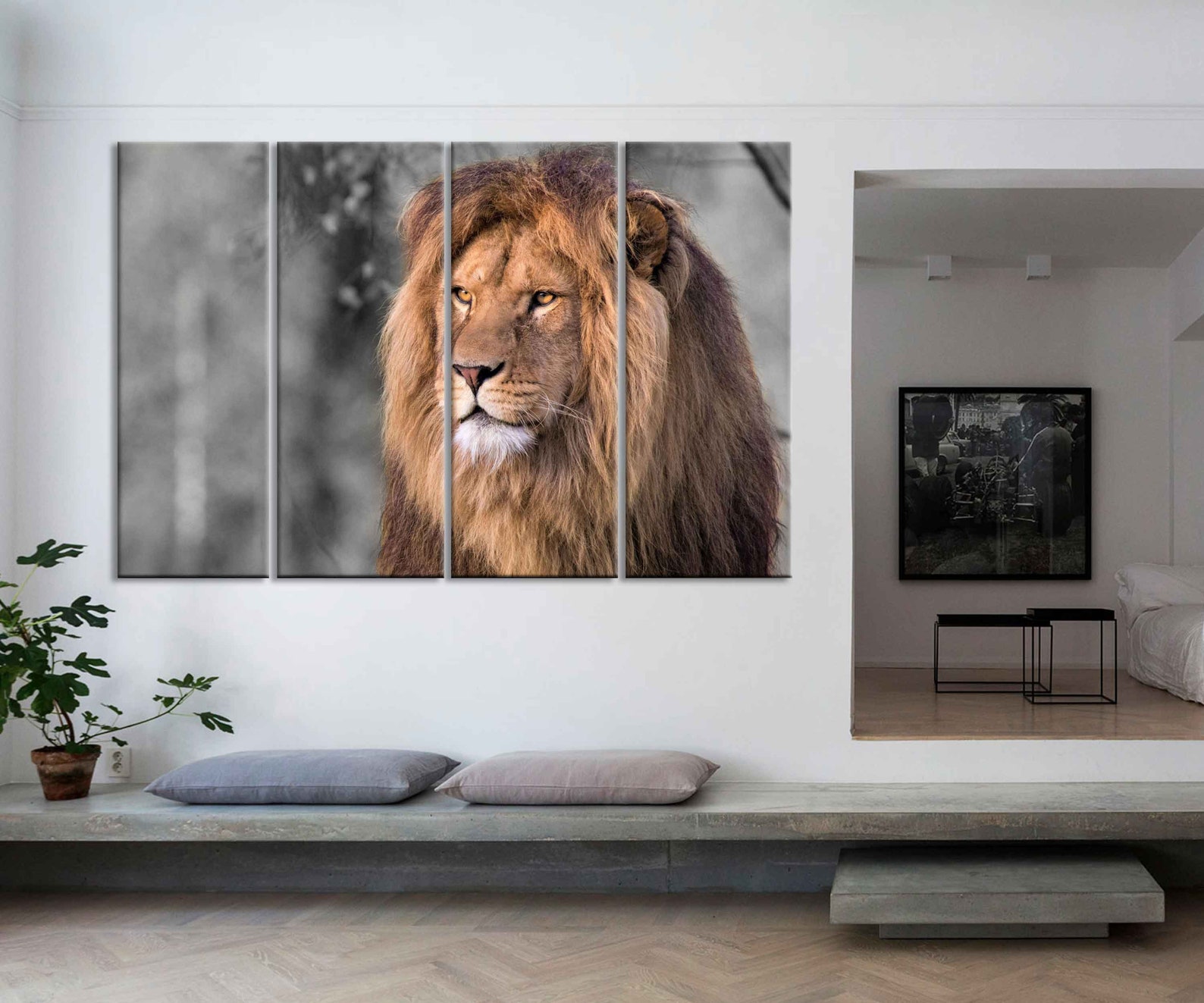 Lion canvas print Lion Wall Art Lion photo Animal wall art | Etsy